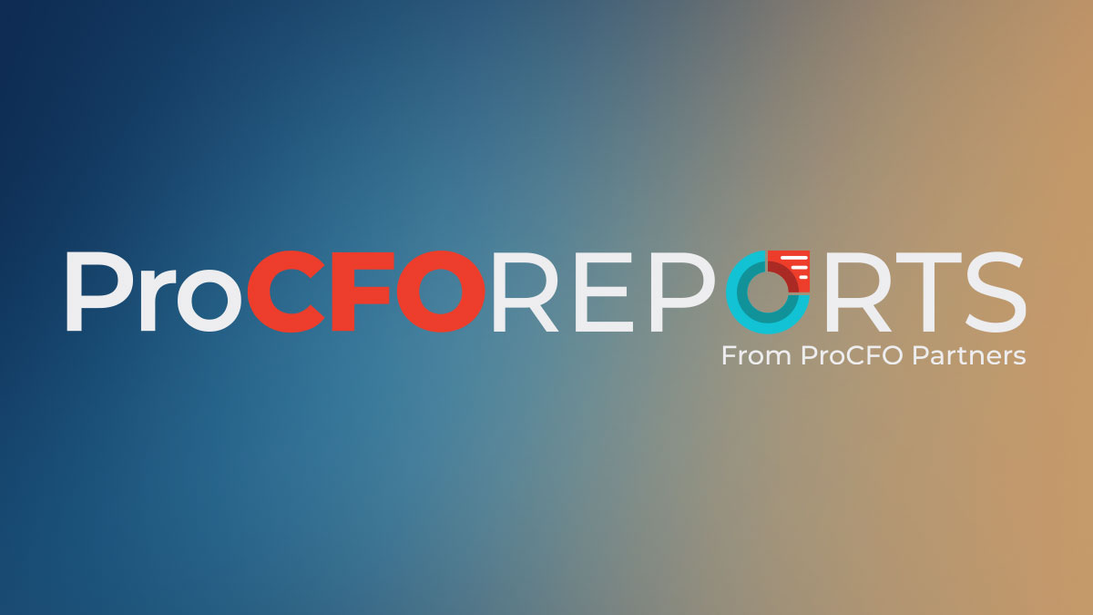 Financial Reporting For Business Leaders from ProCFO Reports